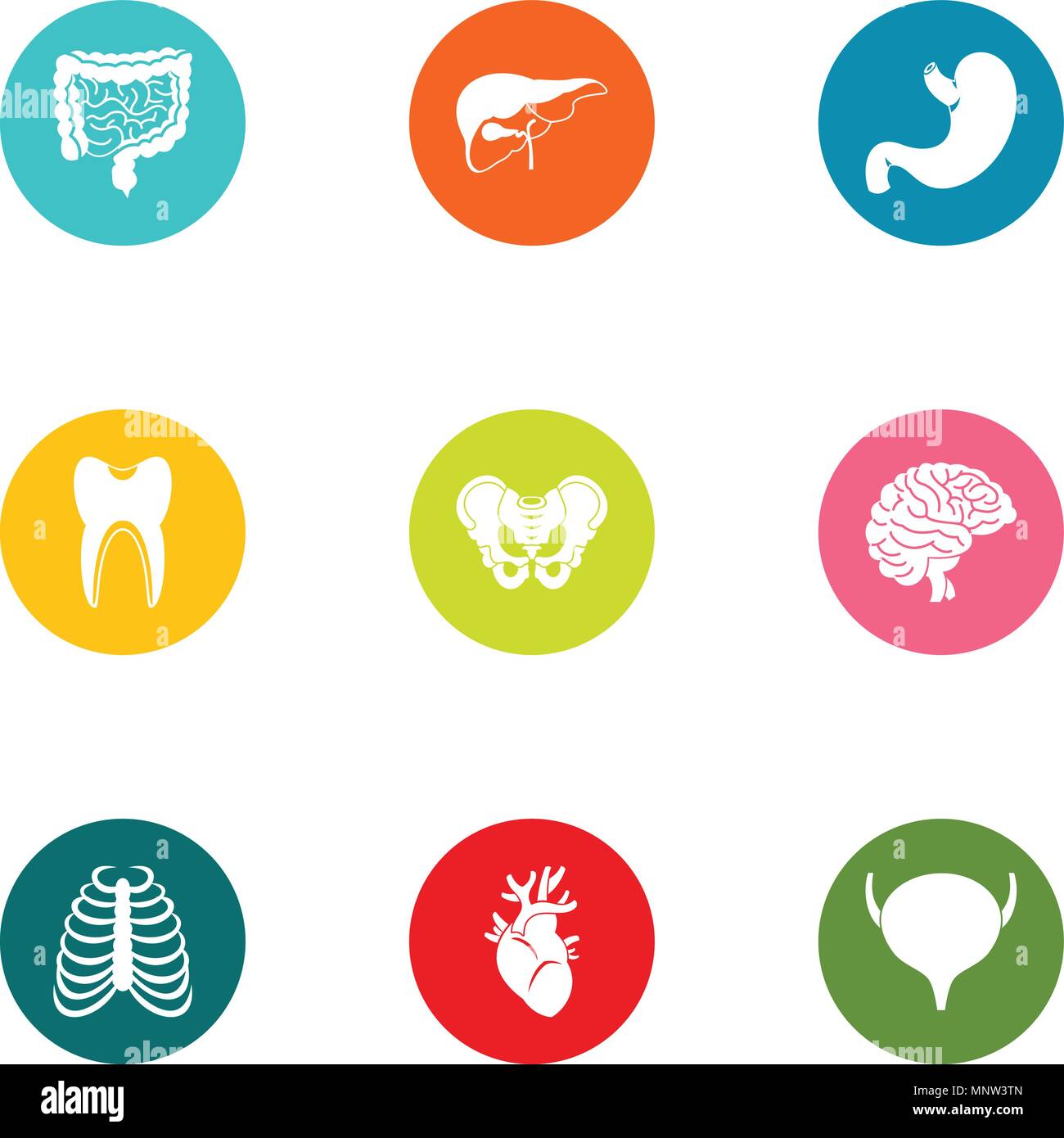 Belly icons set, flat style Stock Vector Image & Art - Alamy