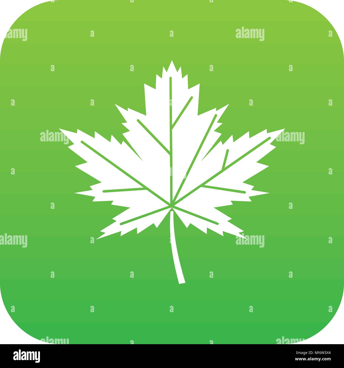 Maple leaf icon digital green Stock Vector Image & Art - Alamy