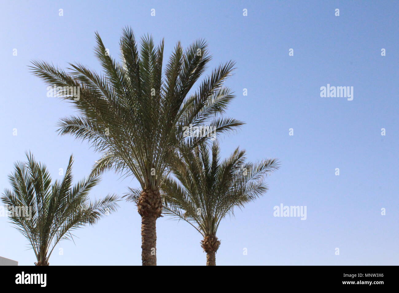 Egipt nile boat hi-res stock photography and images - Alamy