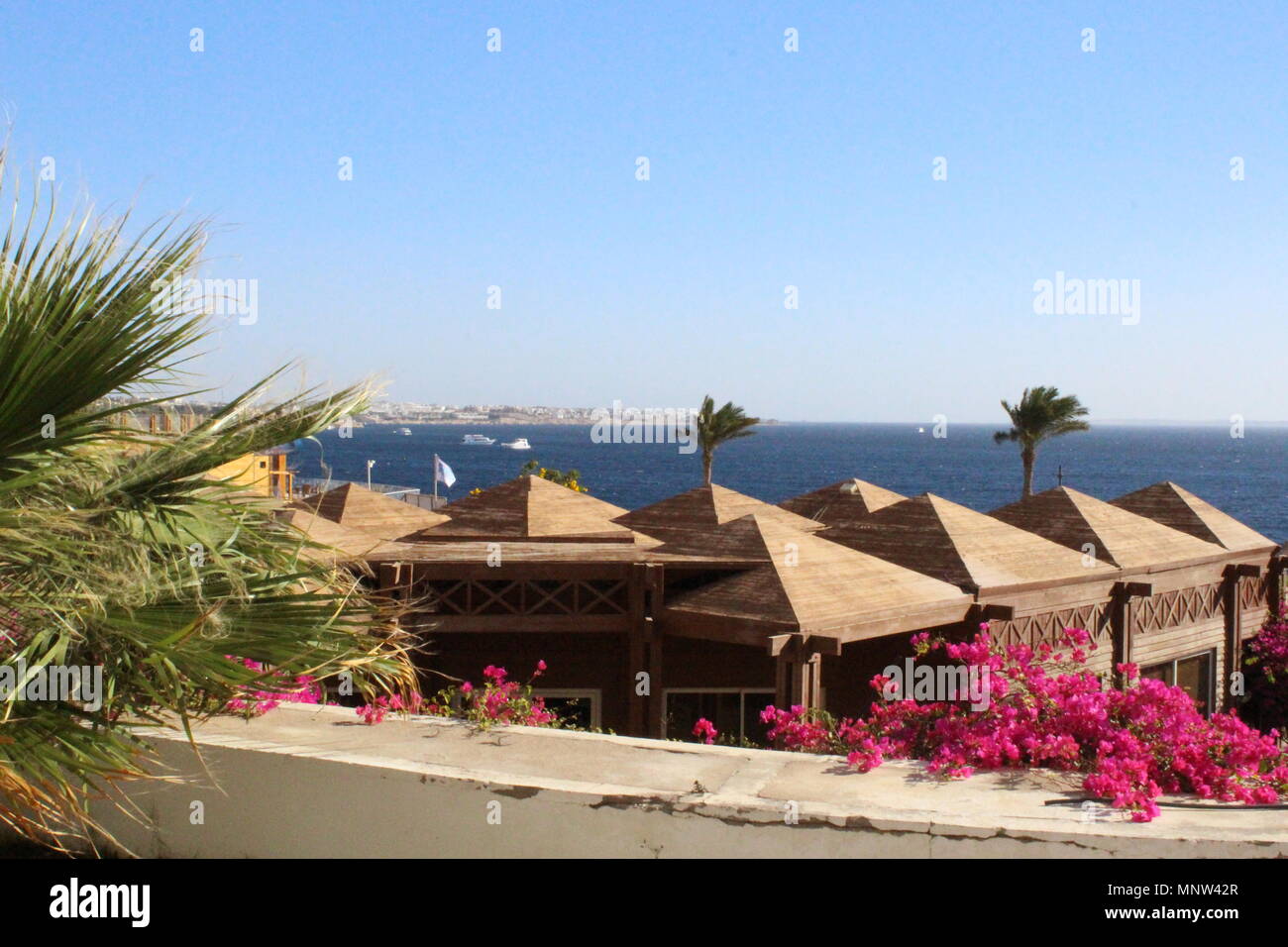 Egipt nile boat hi-res stock photography and images - Alamy