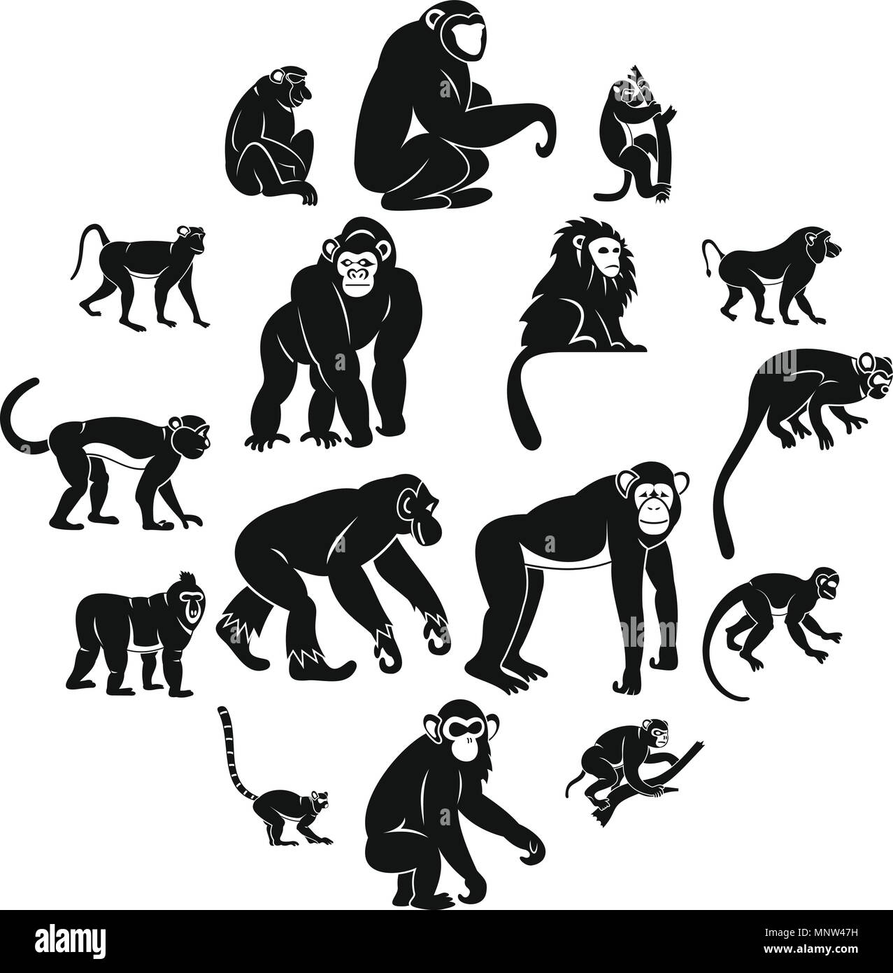Monkey types icons set, simple style Stock Vector Image & Art - Alamy