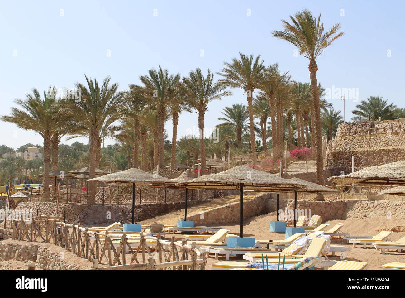 Egipt nile boat hi-res stock photography and images - Alamy