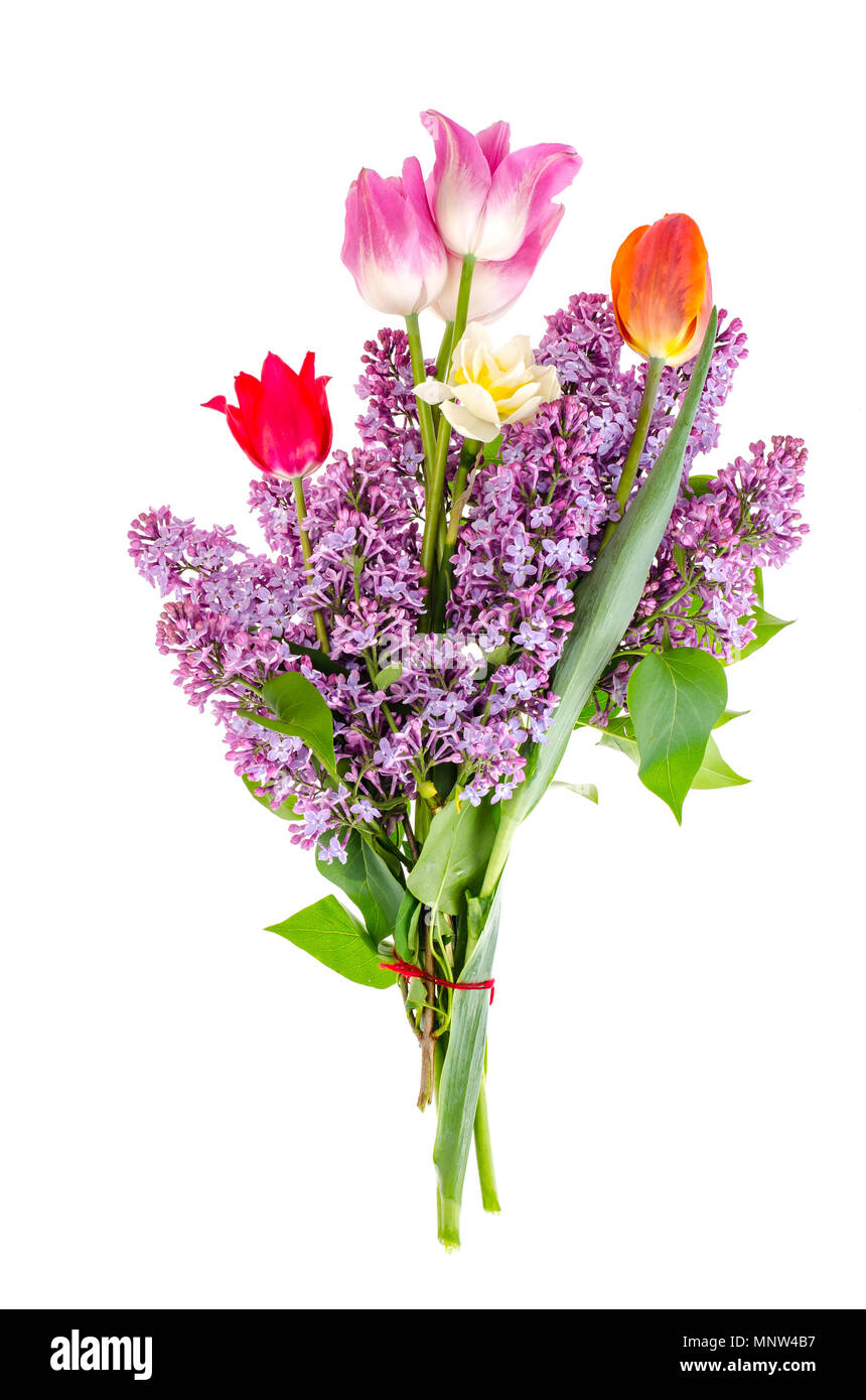 Bright spring flowers isolated on white background. Studio Photo Stock ...
