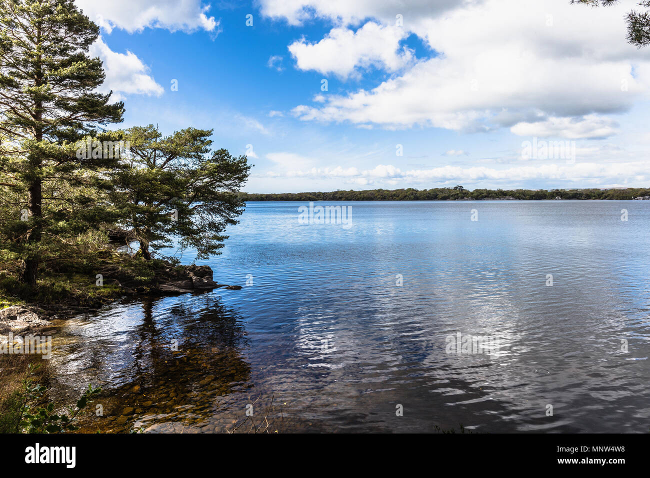 Ireland Killarney National Park Muckross Lake Stock Photo - Alamy