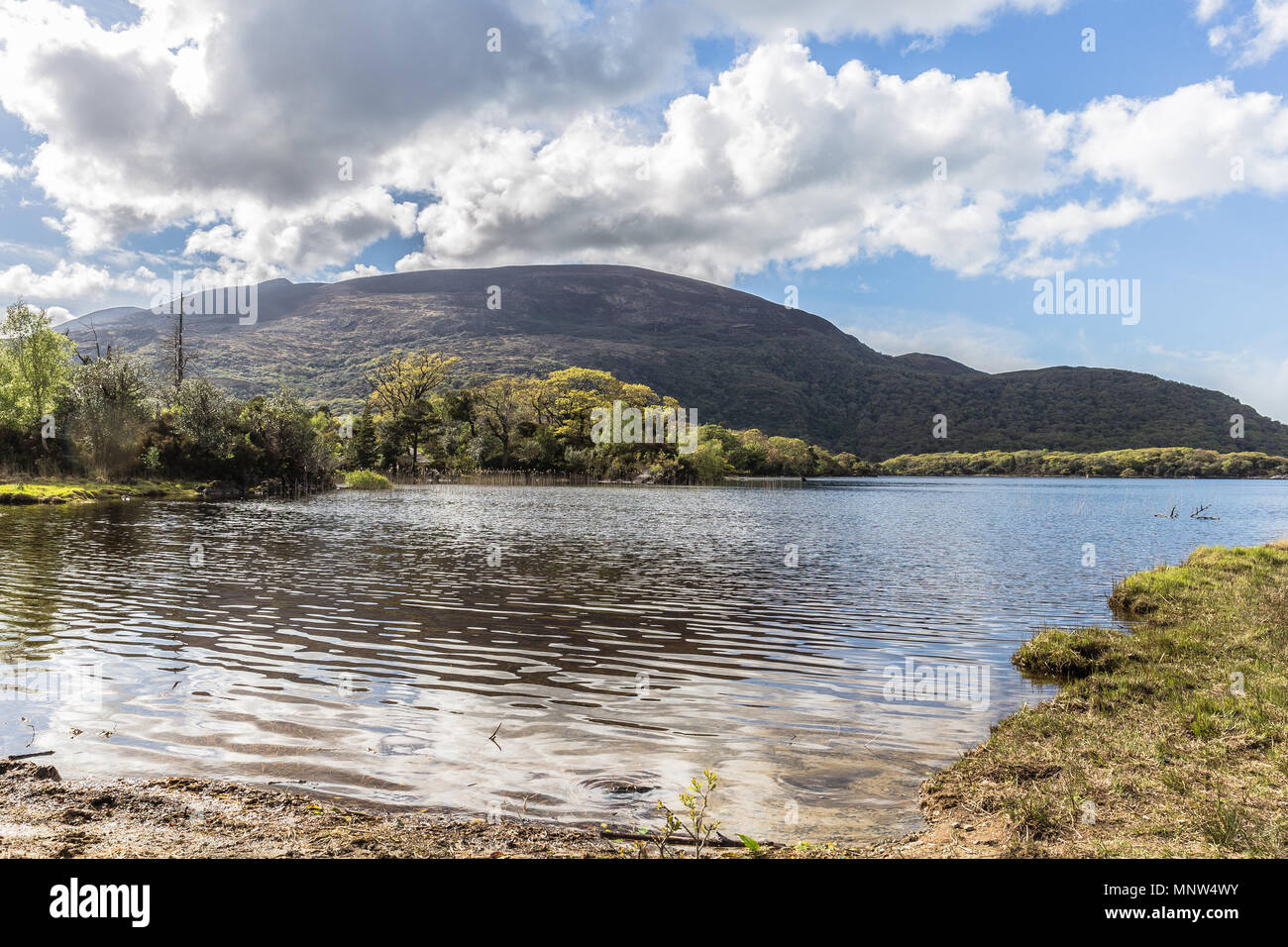 Ireland Killarney National Park Muckross Lake Stock Photo - Alamy