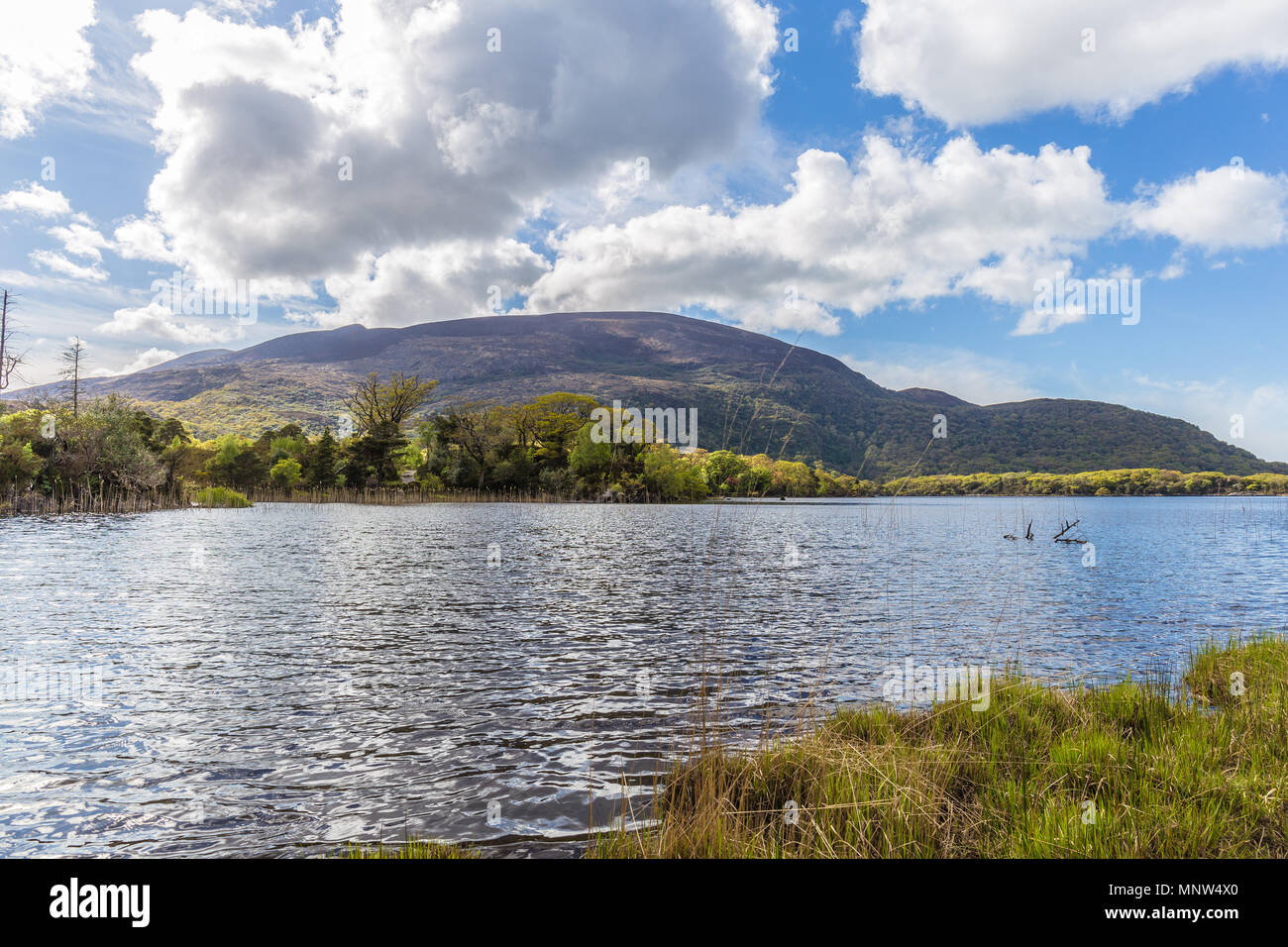 Ireland Killarney National Park Muckross Lake Stock Photo - Alamy