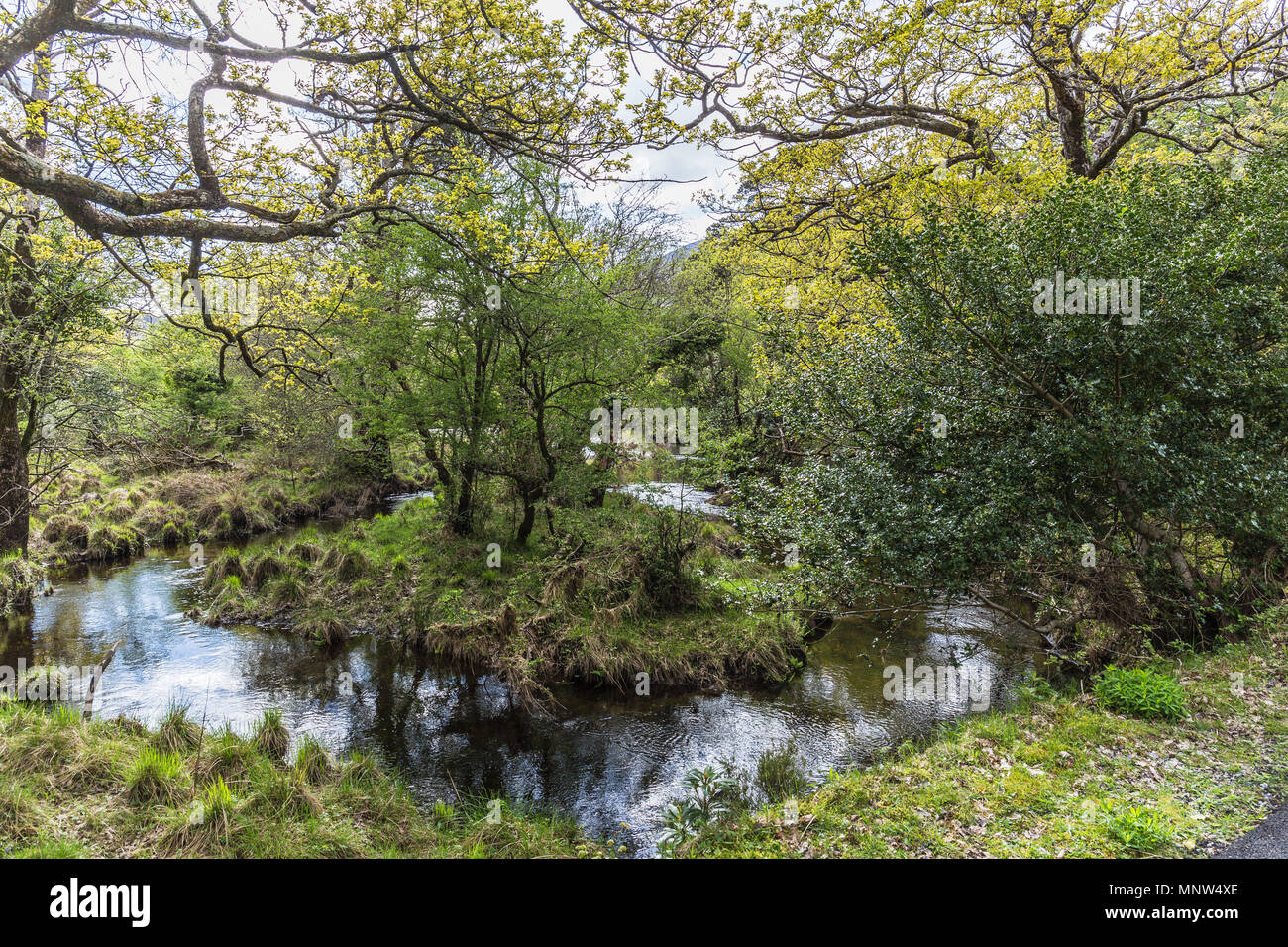 Ireland Killarney National Park Muckross Lake Stock Photo - Alamy