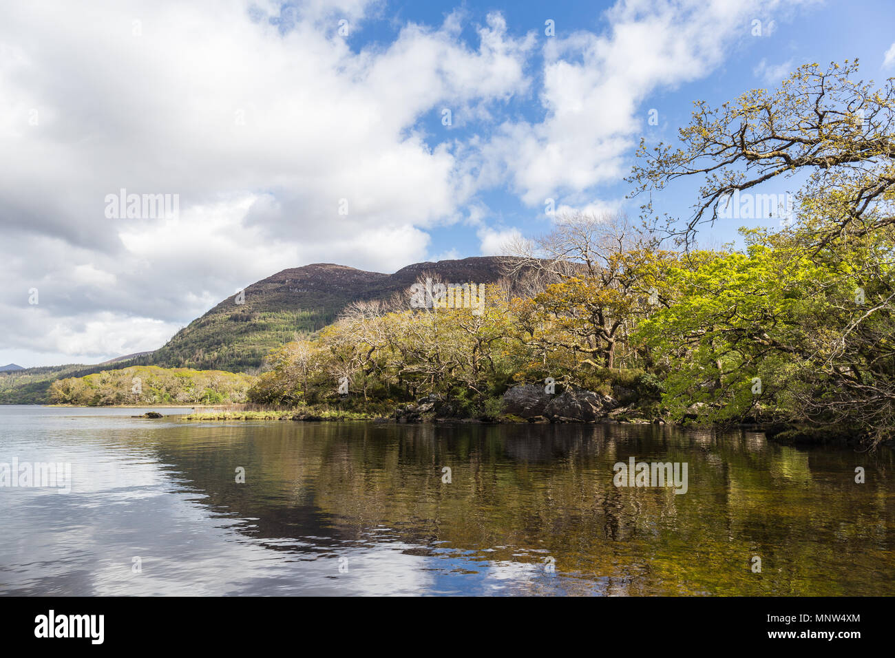 Ireland Killarney National Park Muckross Lake Stock Photo - Alamy