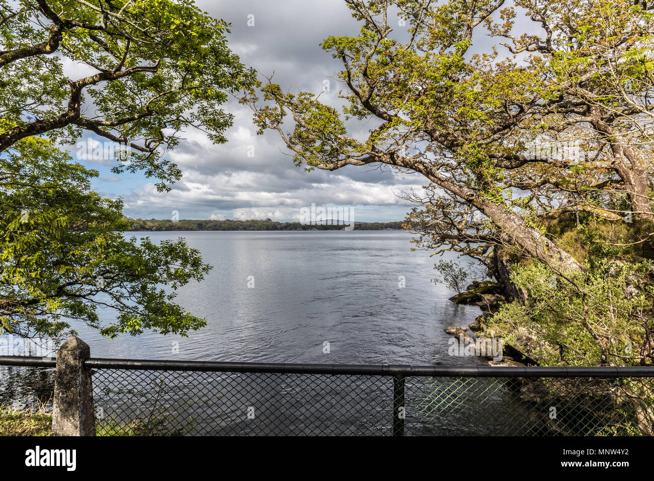 Ireland Killarney National Park Muckross Lake Stock Photo - Alamy