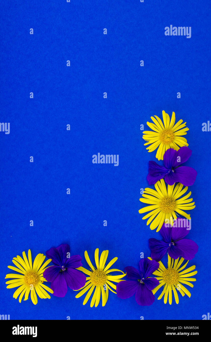 Postcard, card, creative layout of flowers on colored background with ...