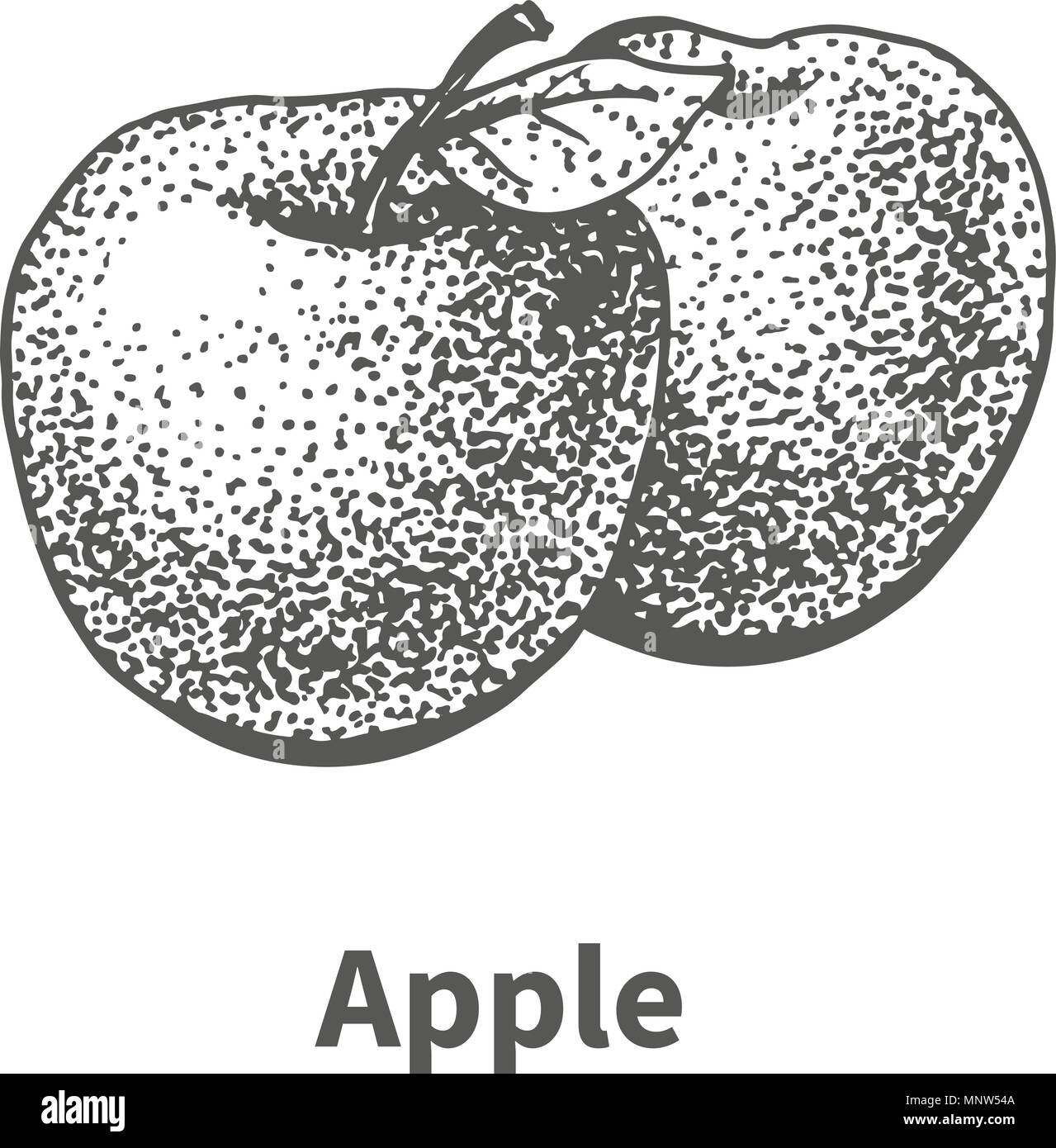 Vector illustration hand-drawn apple Stock Vector Image & Art - Alamy