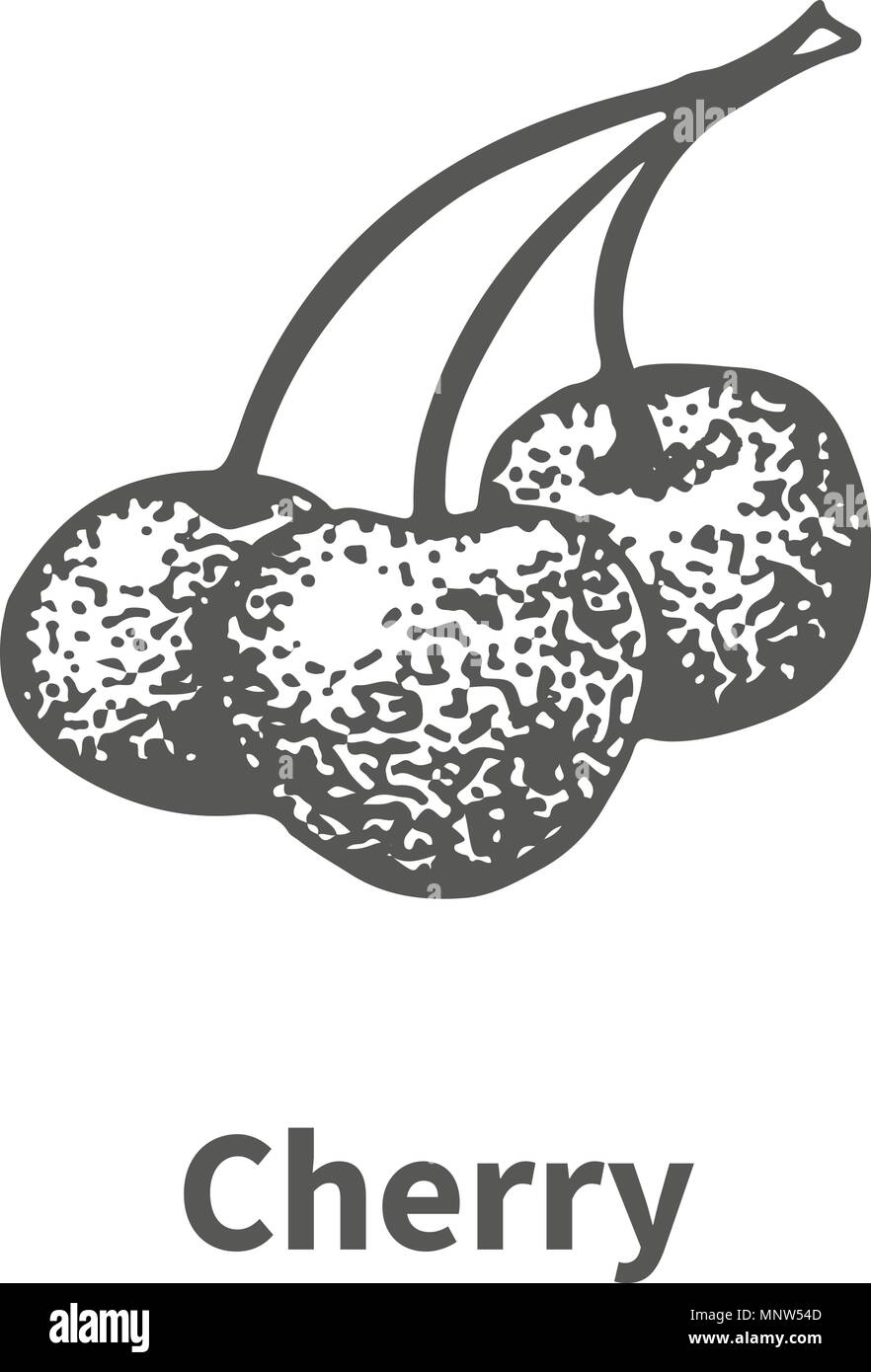 Cherry fruit line drawing Stock Vector Images - Alamy