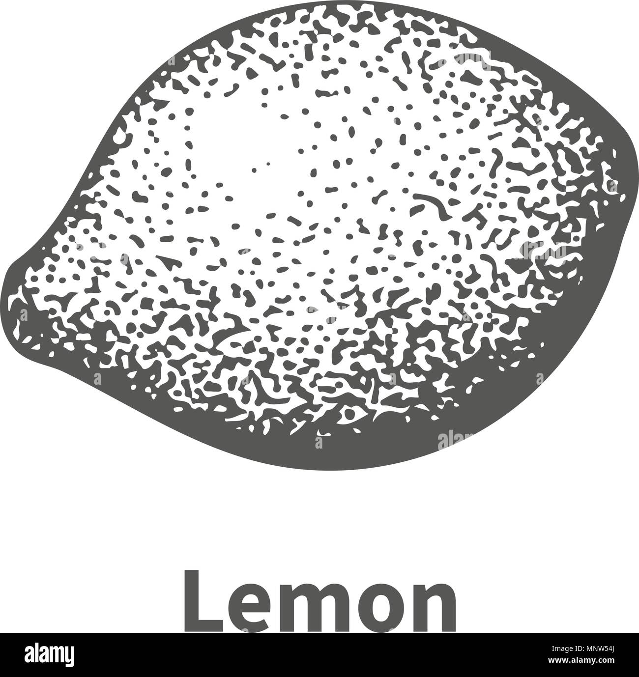 Lemon fruit line art Stock Vector Images - Alamy