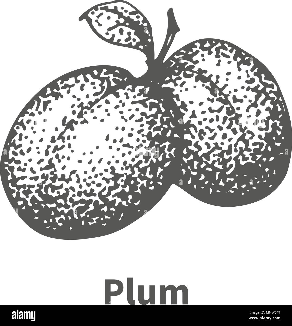 Plum drawing hi-res stock photography and images - Alamy