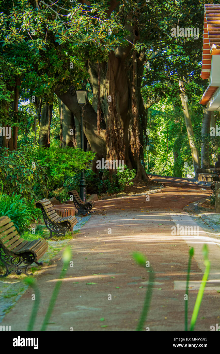 View estrela garden in hi-res stock photography and images - Alamy