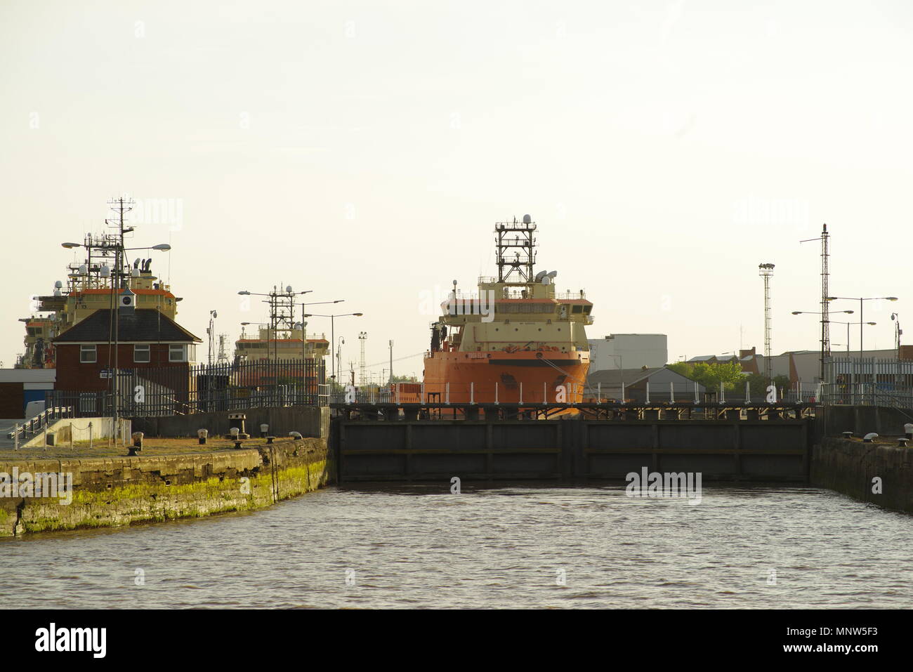 Toisa hi-res stock photography and images - Alamy