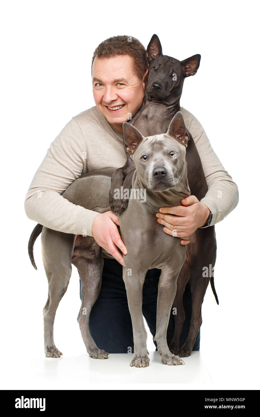 Happy looking dogs Cut Out Stock Images & Pictures - Alamy