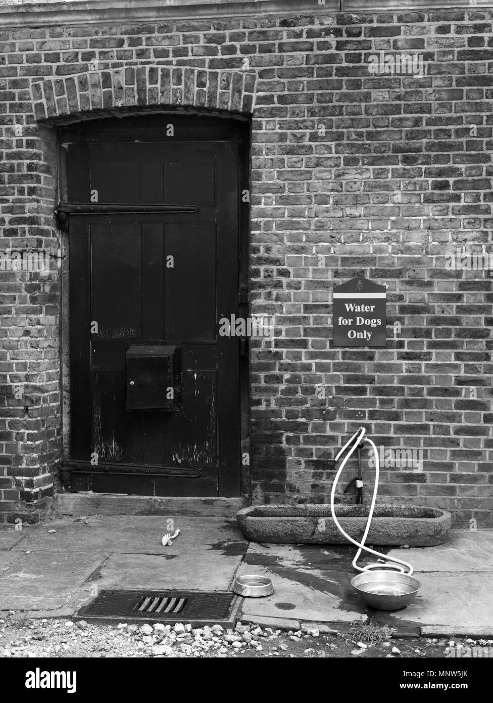 Dog bowl water Black and White Stock Photos & Images - Alamy