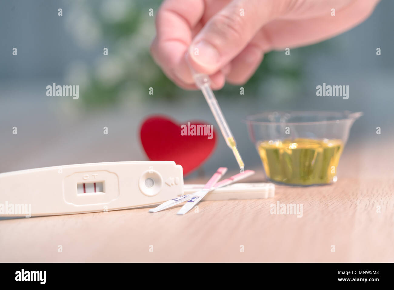 focus on the positive pregnancy test result with the double test action ...