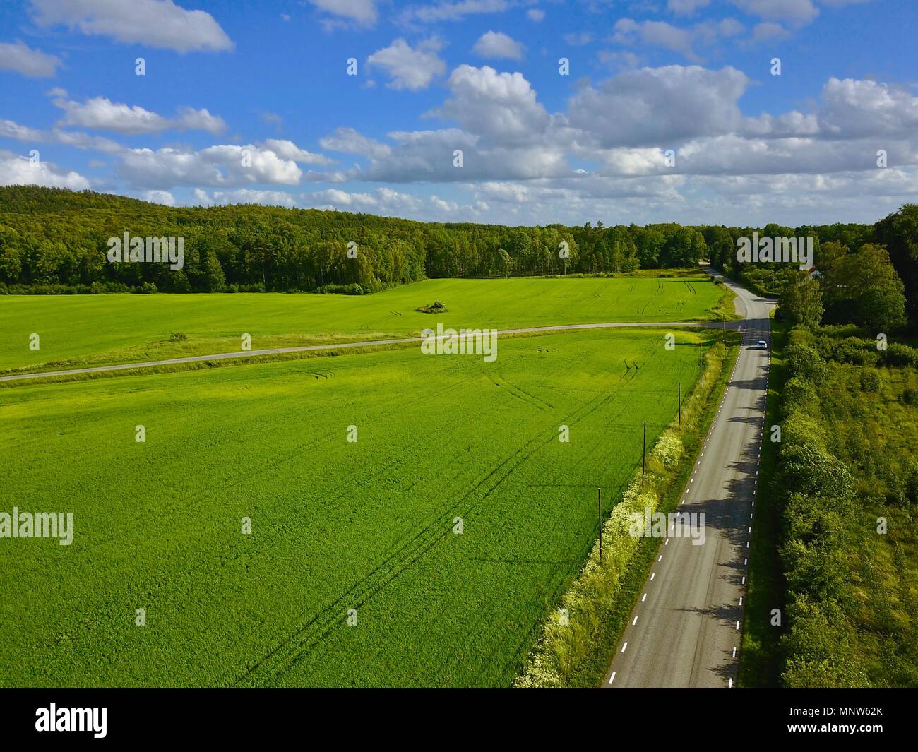 Cultivated field aerial view with road and large forest in the ...