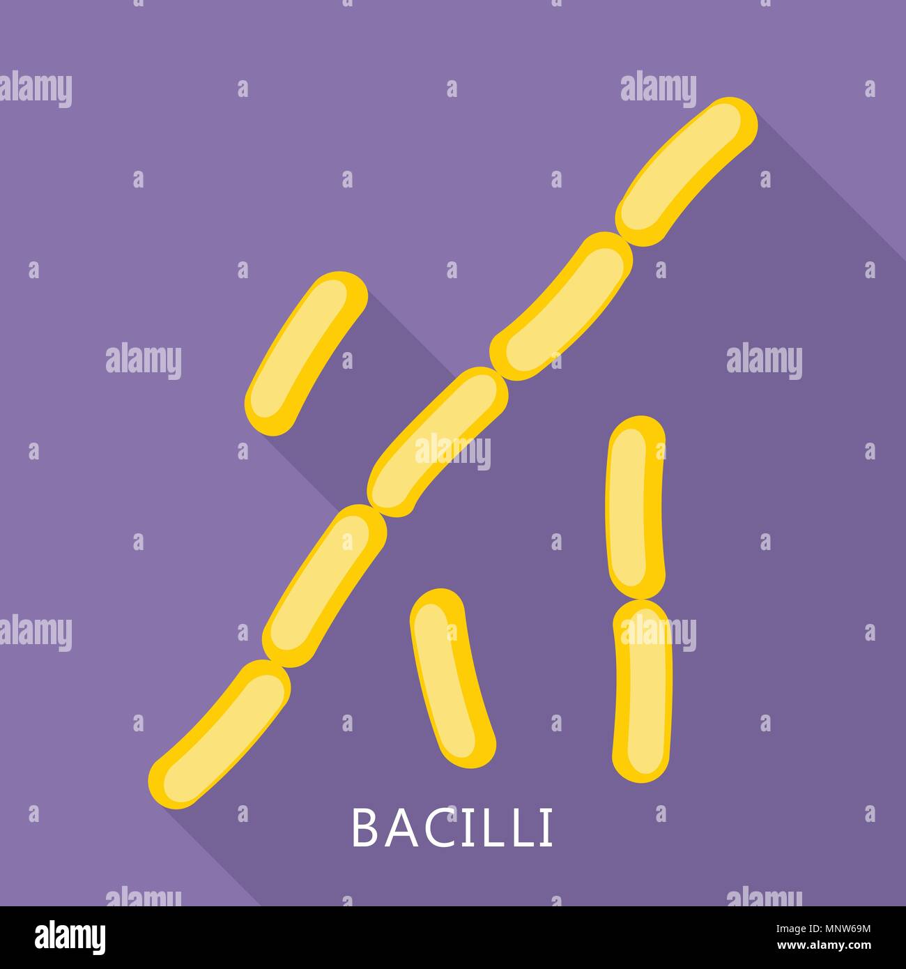 Escherichia coli bacteria cell Stock Vector Images - Alamy