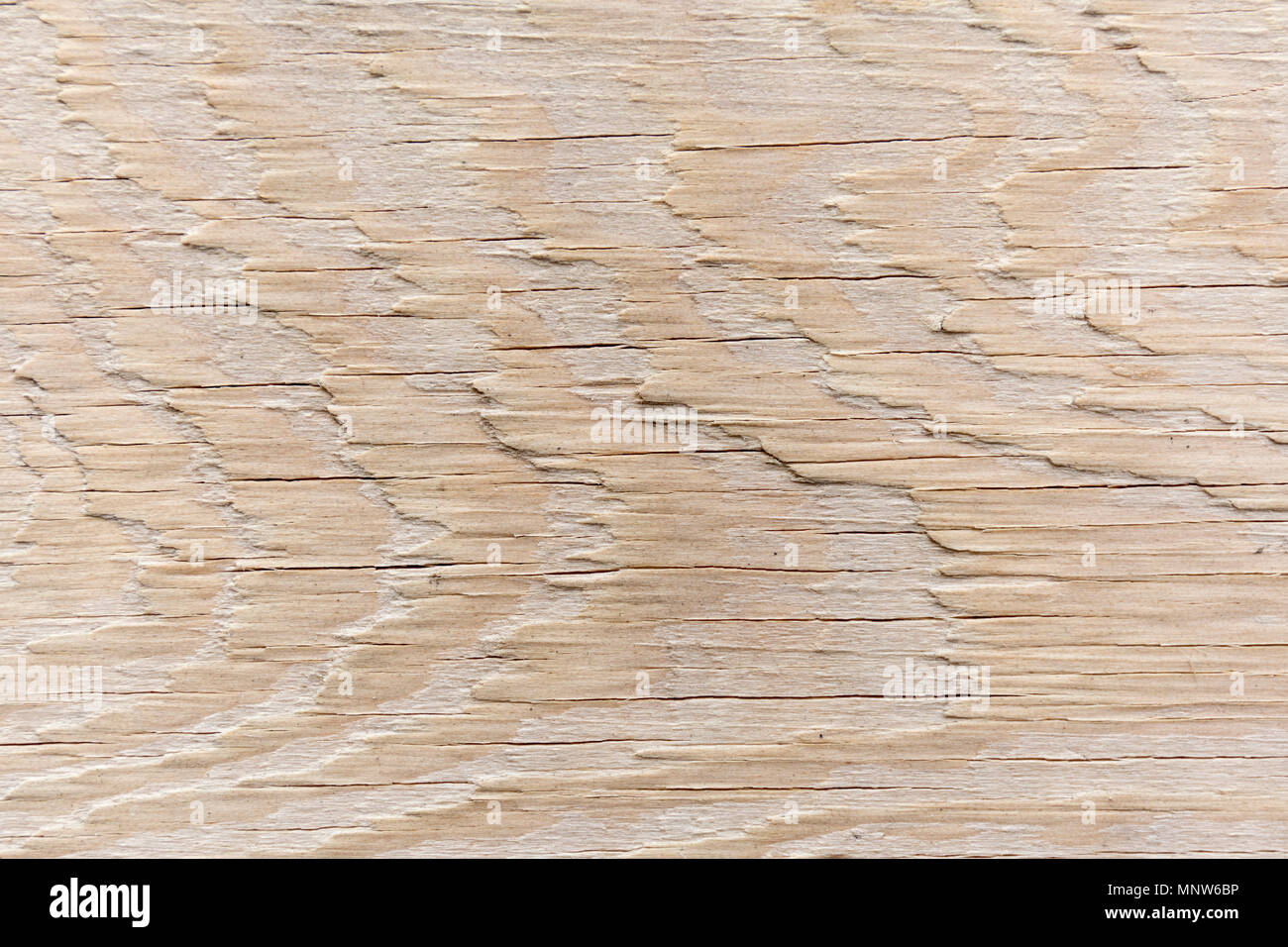 Beige wooden texture. Wood nature background Stock Photo - Alamy