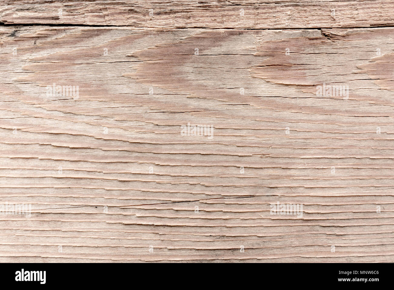 Beige wooden texture. Wood nature background Stock Photo - Alamy