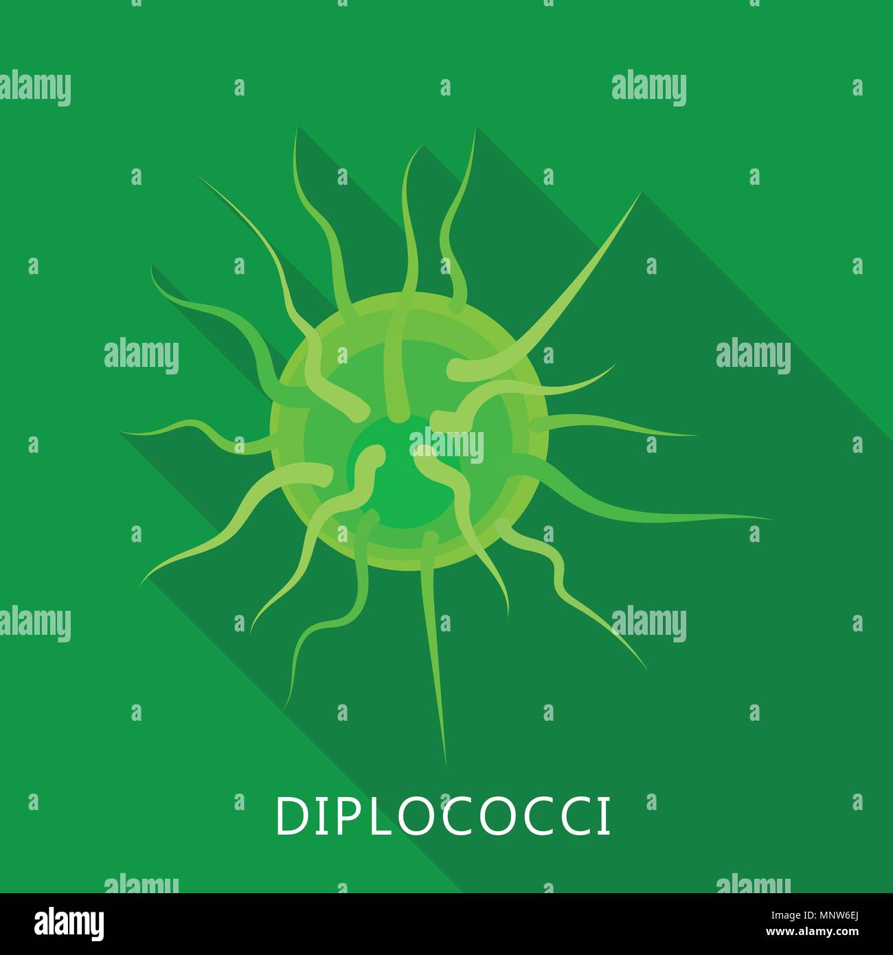 Diplococci bacteria hi-res stock photography and images - Alamy