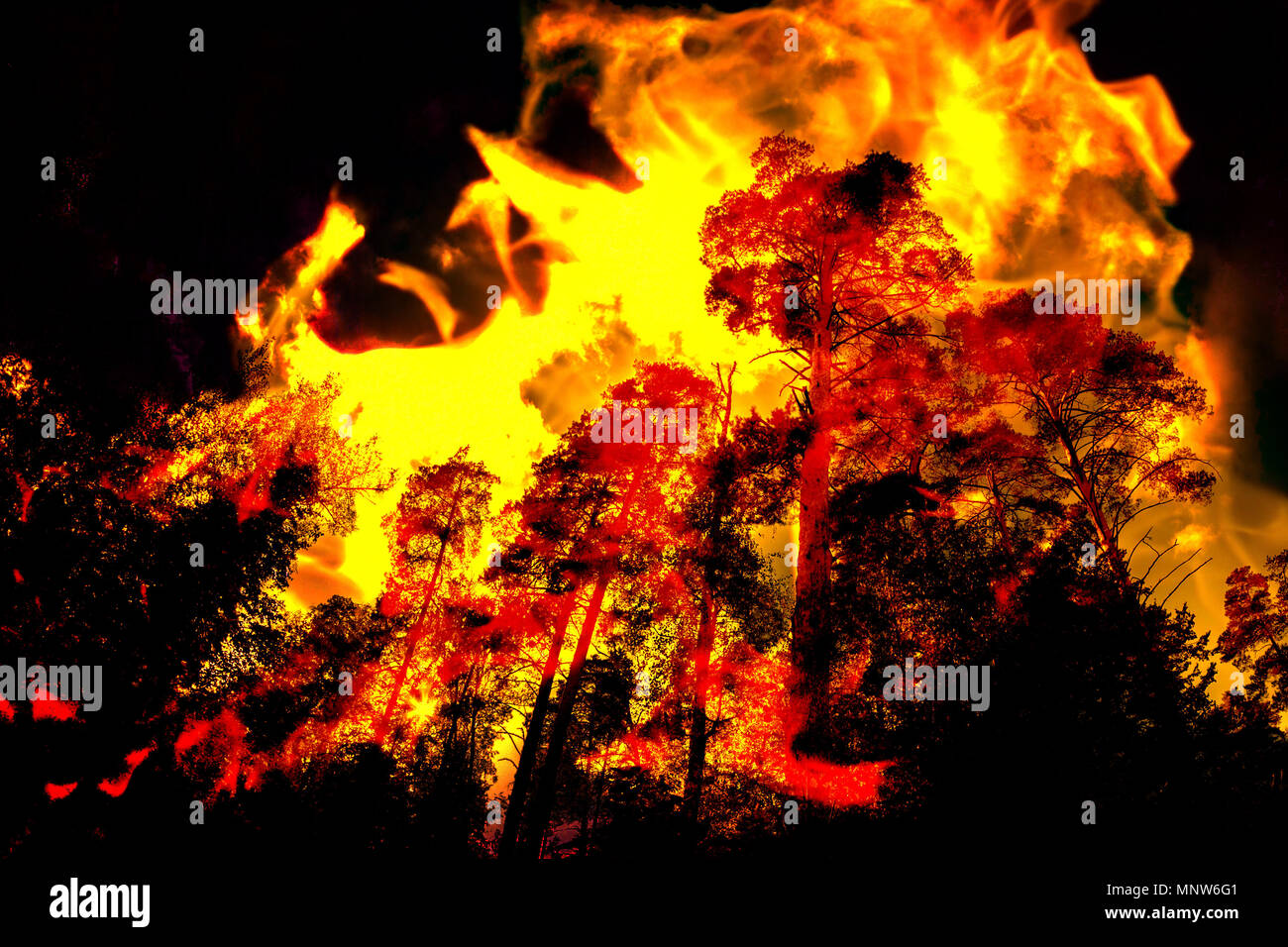 forest in fire. double exposure. nature is in danger Stock Photo - Alamy