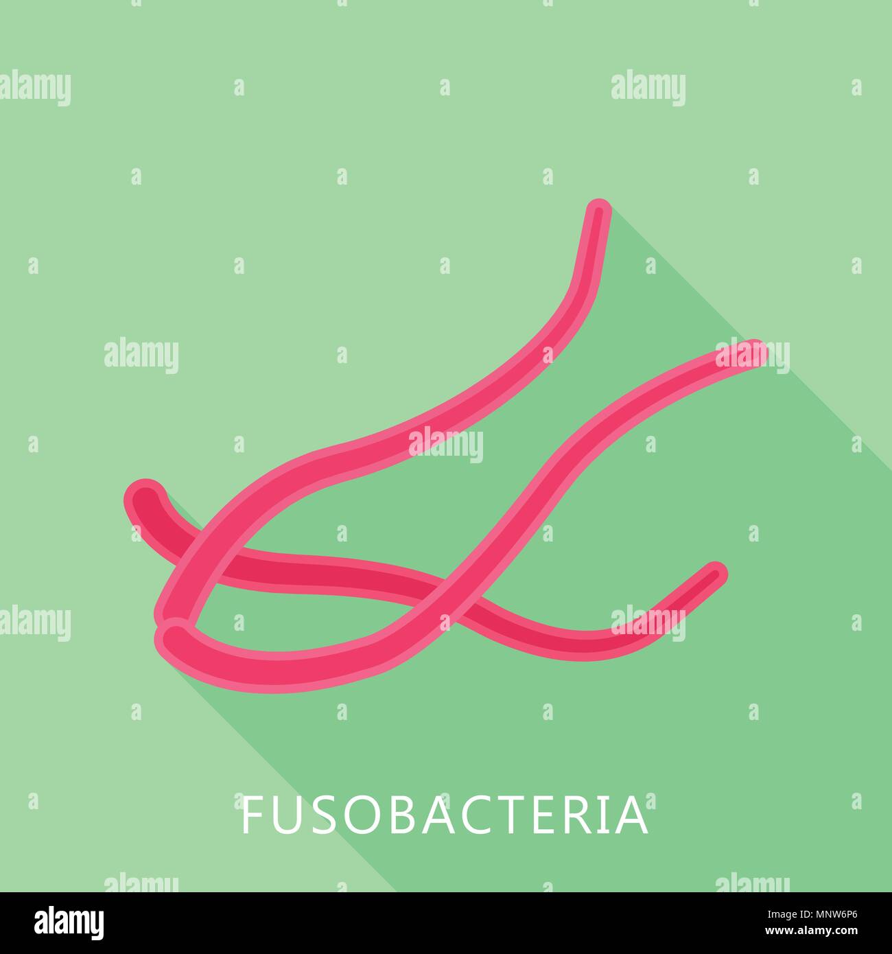 Fusobacteria hi-res stock photography and images - Alamy