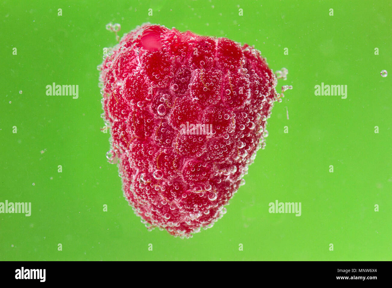 raspberries with bubbles in water Stock Photo - Alamy