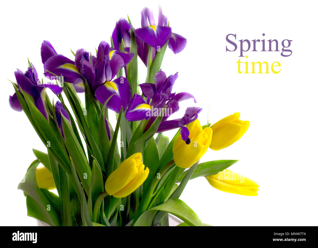 Colorful bouquet of spring flowers yellow and blue Stock Photo - Alamy