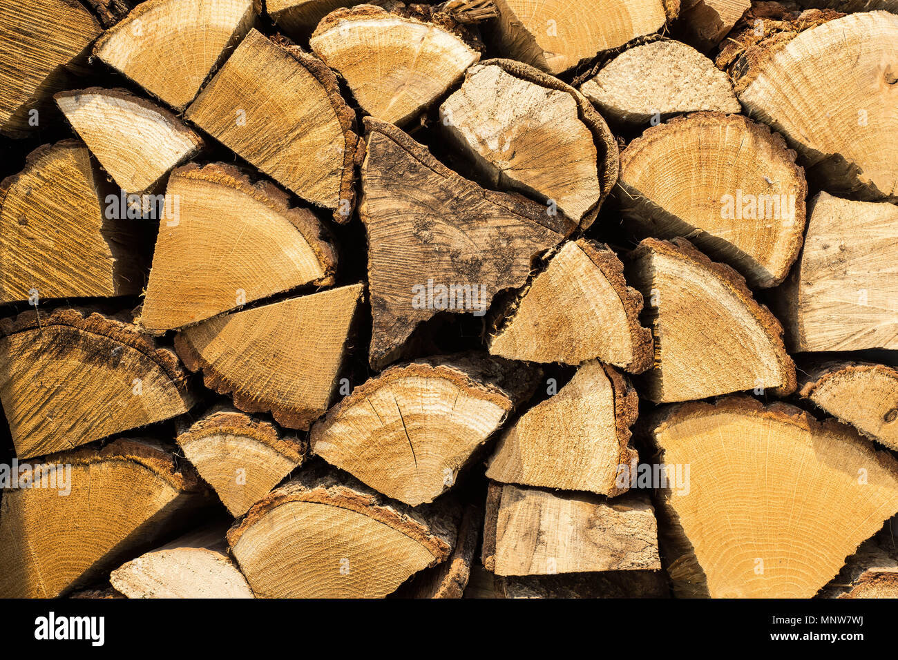 Abstract photo of a pile of natural wooden logs background, top view ...
