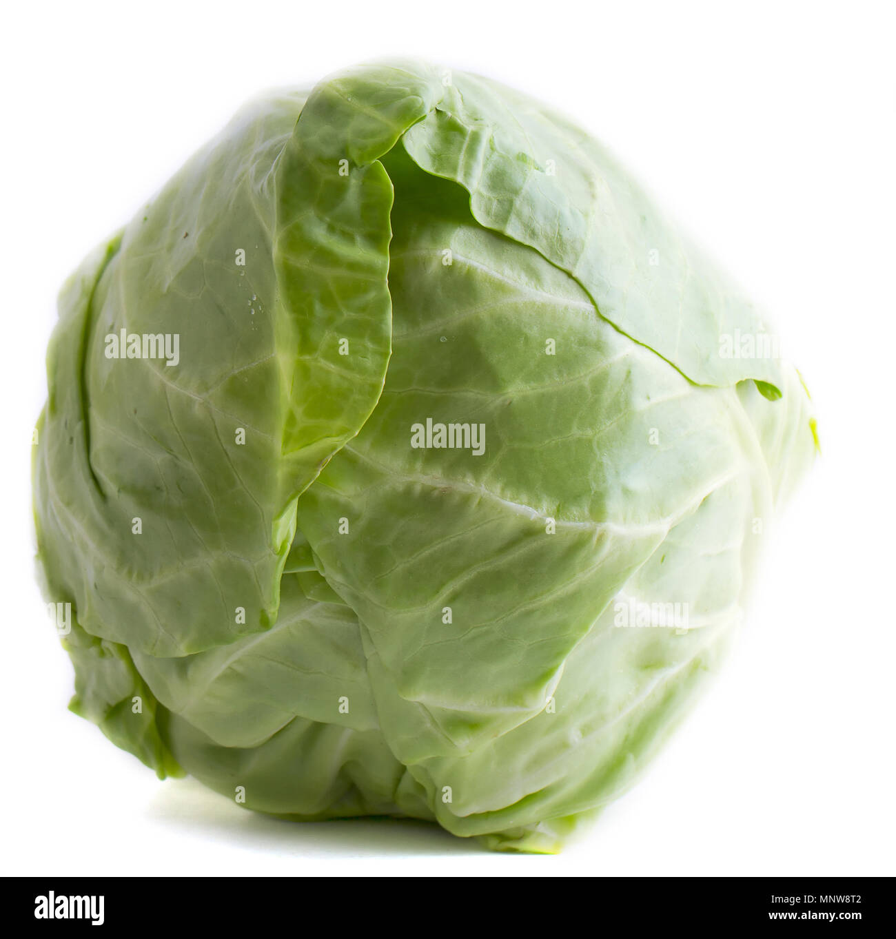 whole green cabbage isolated on white Stock Photo - Alamy