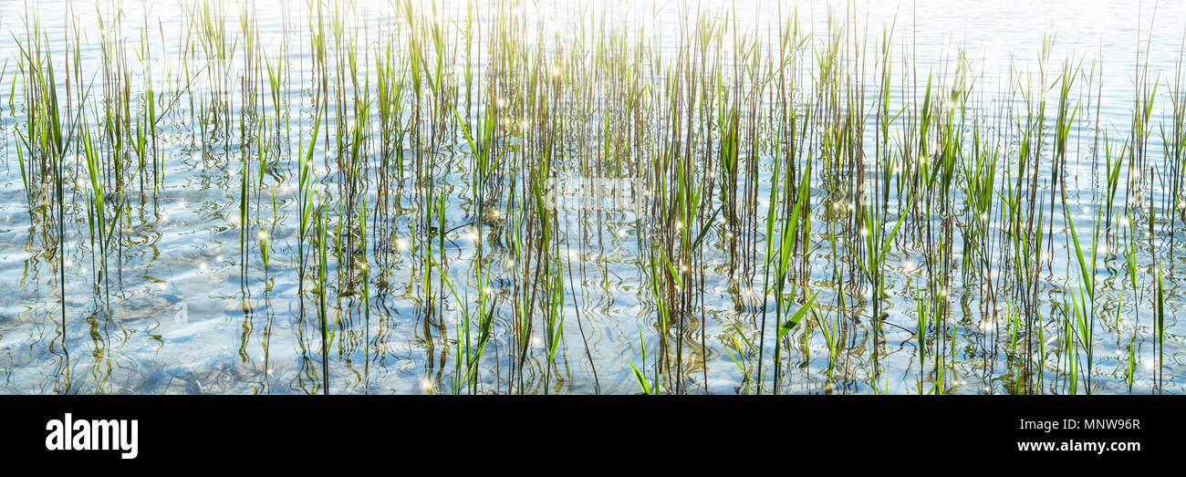 waterside in sunshine Stock Photo - Alamy
