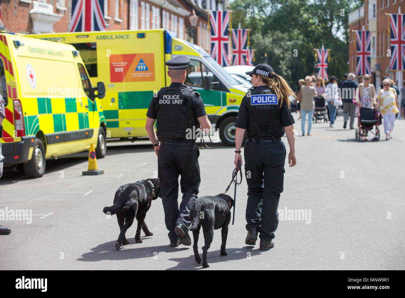 Megan markle harry carriage wedding hi-res stock photography and images ...