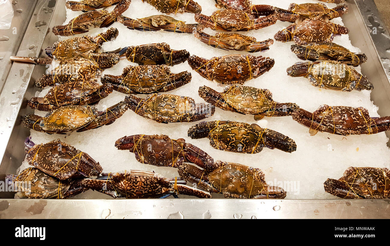 Cartoon crab shell hi-res stock photography and images - Alamy