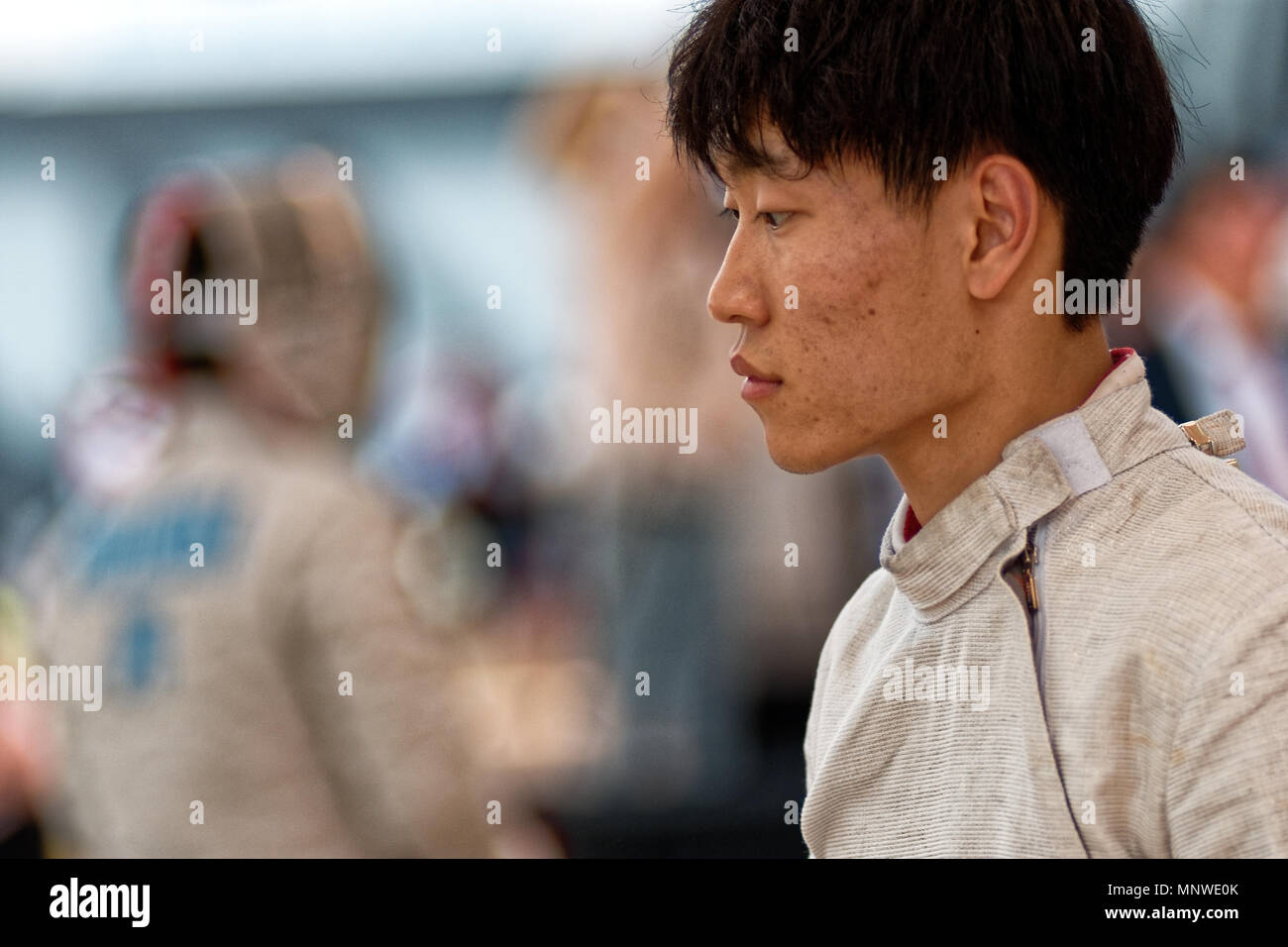 Lu Yang's Instagram, Twitter & Facebook on IDCrawl