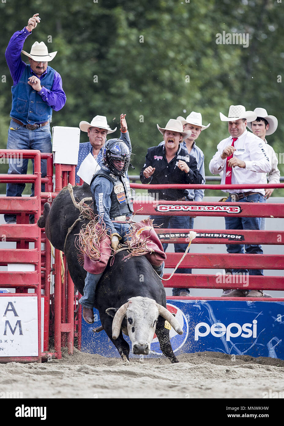 Surrey, British Columbia, Canada. 19th May, 2018. A cowboy competes in ...