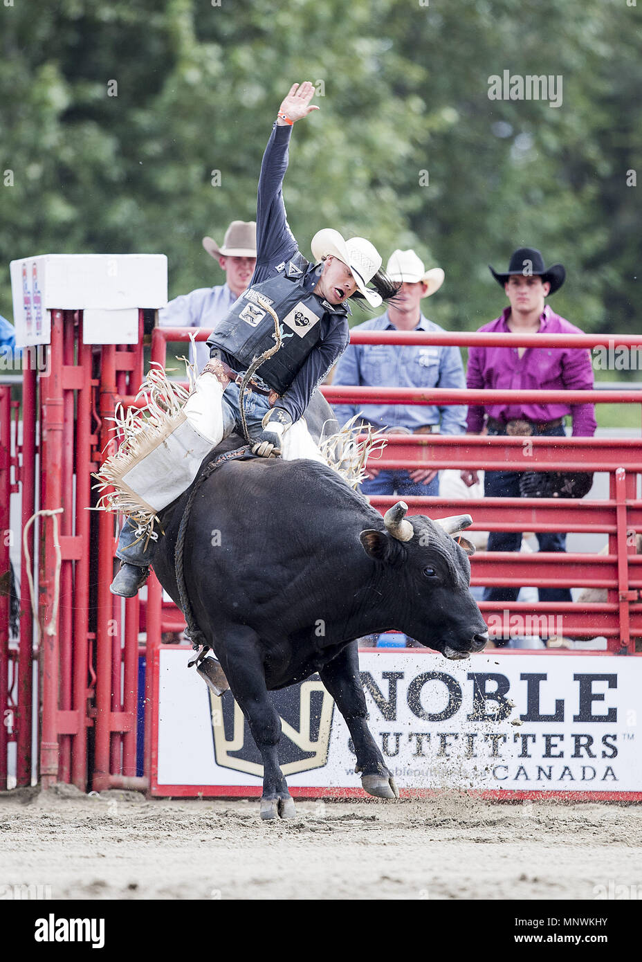 Surrey, British Columbia, Canada. 19th May, 2018. A cowboy competes in ...
