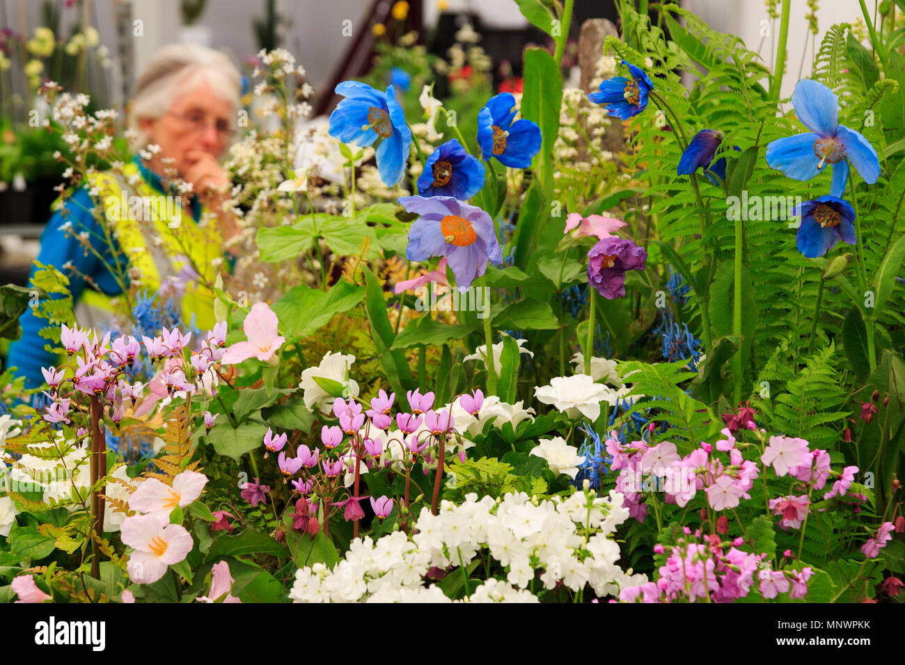 London, UK. 20 May 2018. Preparations are well under way for the start ...