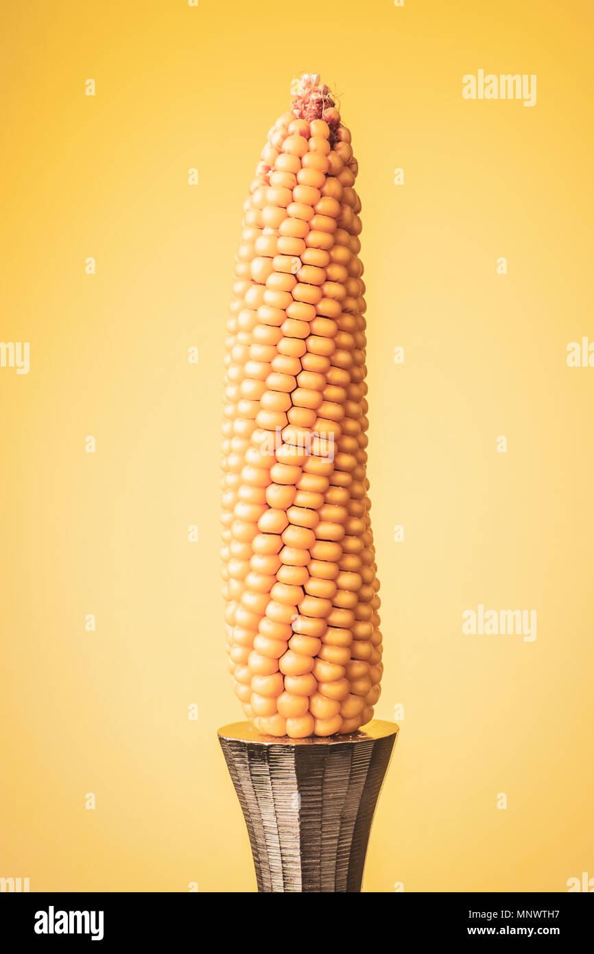yellow ripe corn cob stands like a candle on a steel candlestick Stock ...
