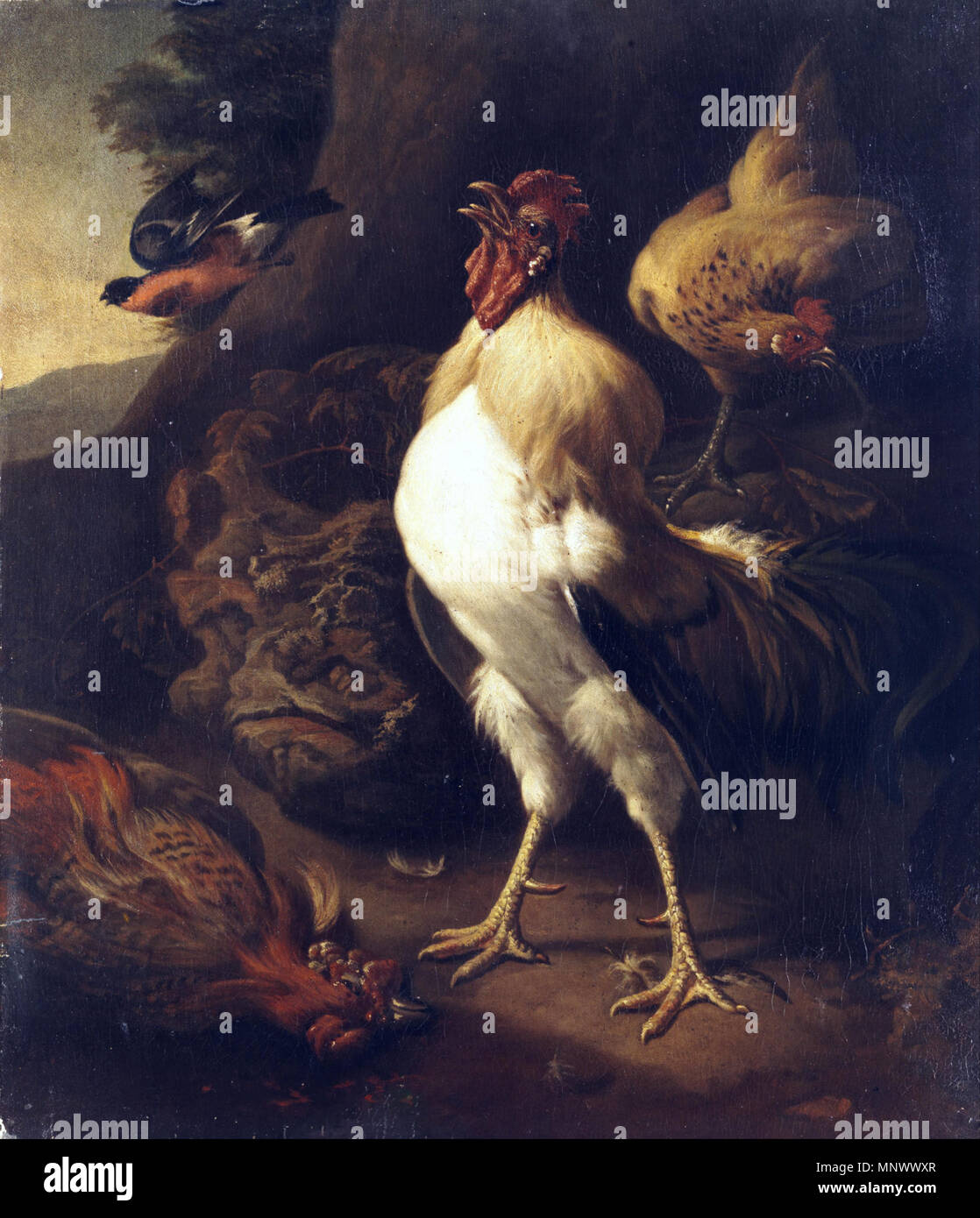 English and proud hi-res stock photography and images - Alamy