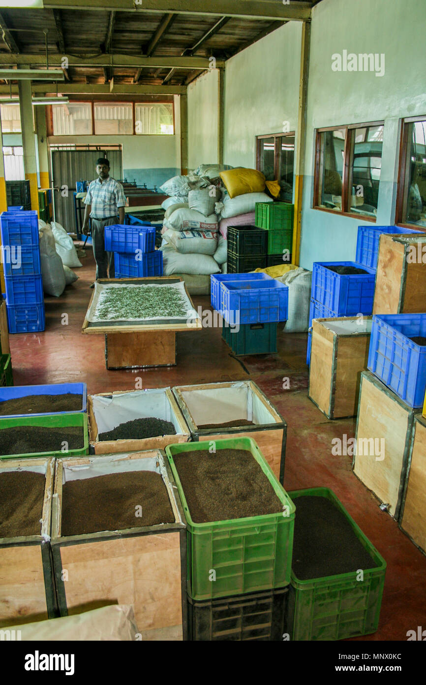Traditional tea factory, Sri Lanka Stock Photo - Alamy