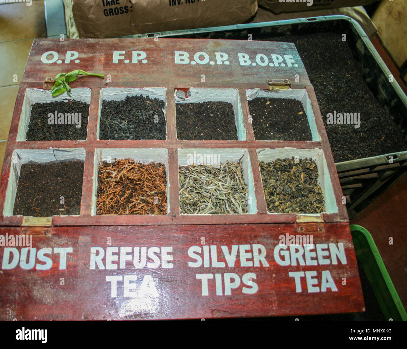Traditional tea factory, Sri Lanka Stock Photo - Alamy