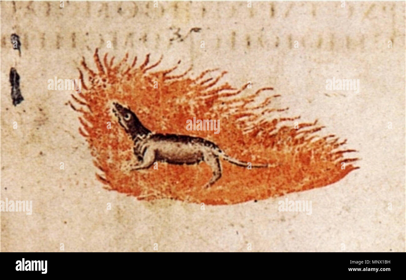 Manuscript of dioscurides hi-res stock photography and images - Alamy