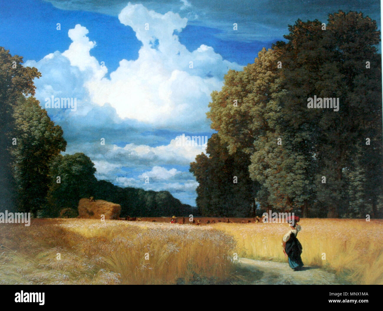 Die ernte hi-res stock photography and images - Alamy