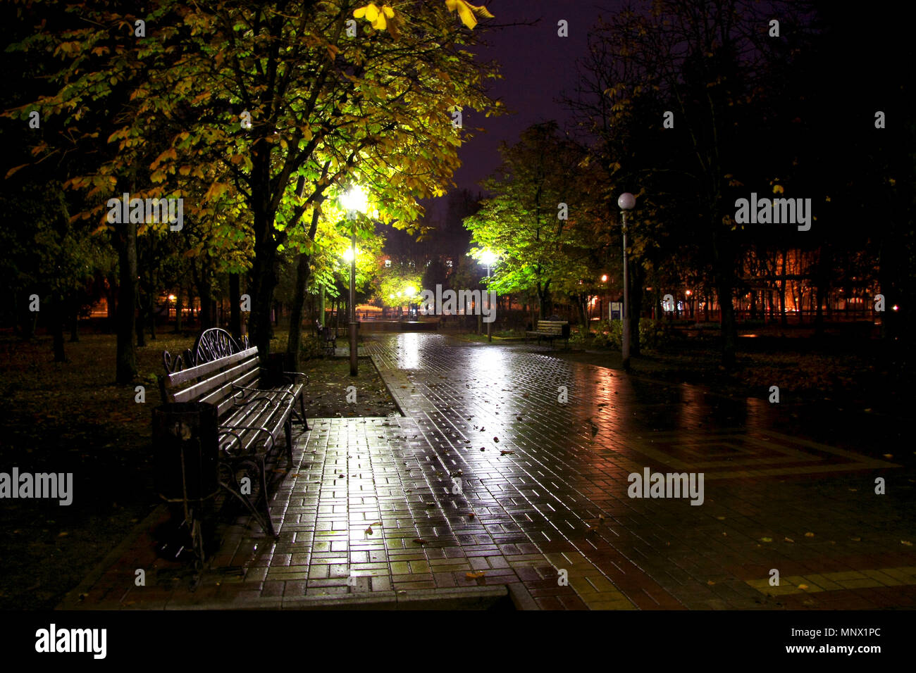 City Park in the evening after the rain Stock Photo - Alamy