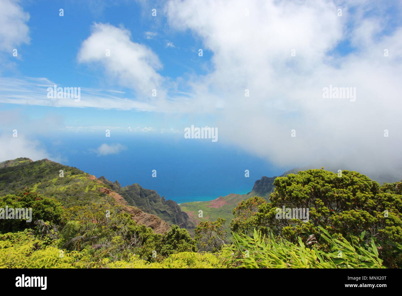Views of the Na Pali Coast and the Kalalau Valley from Kokee State Park ...