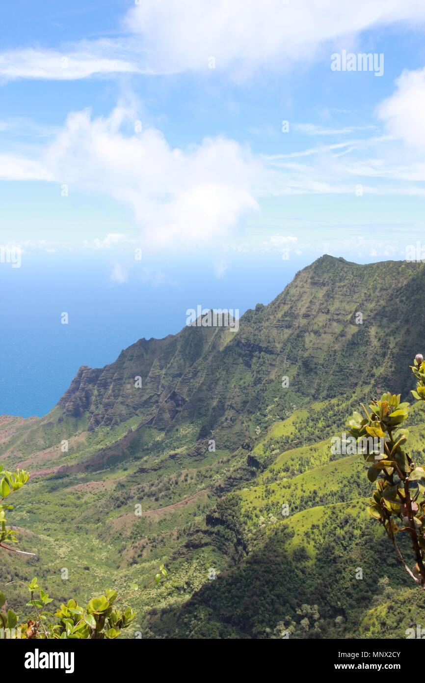 Views of the Na Pali Coast and the Kalalau Valley from Kokee State Park ...